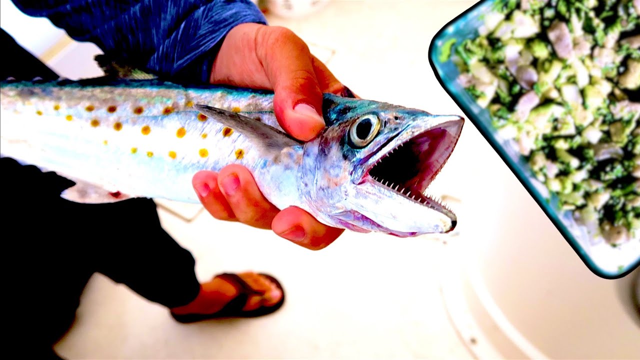 Fishing Morehead City North Carolina | Spanish Mackerel Ceviche | The ...