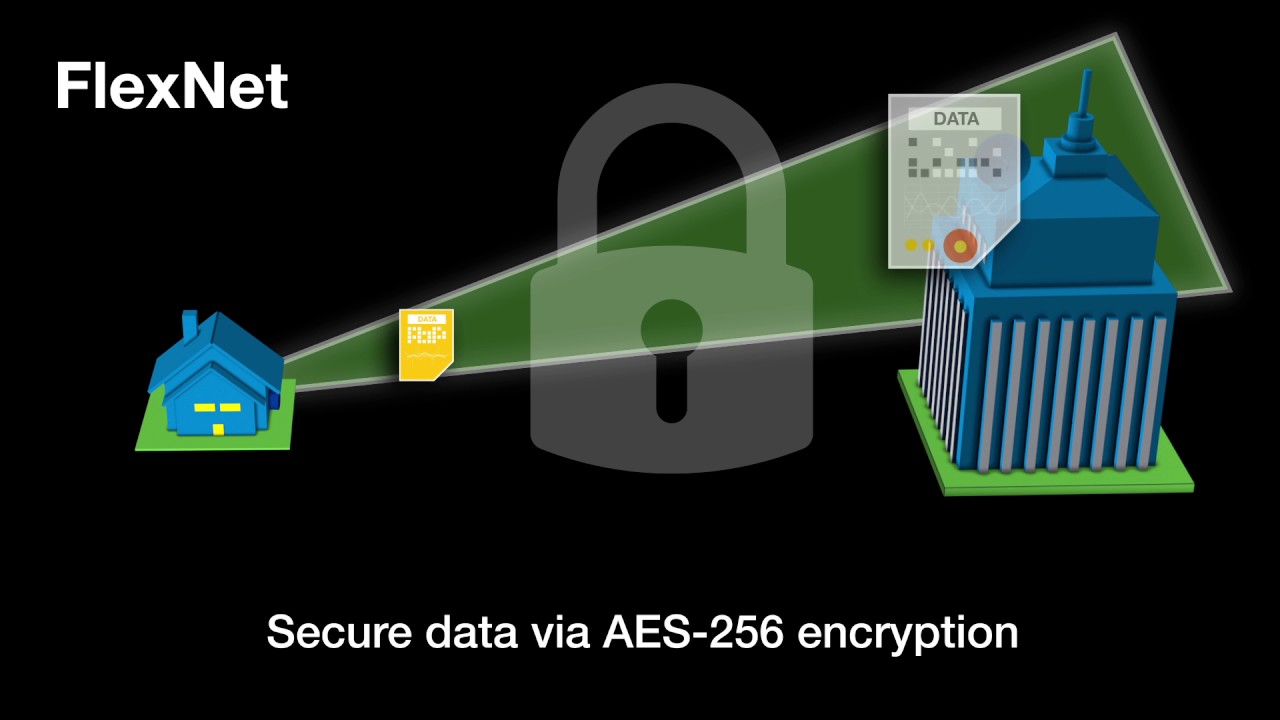 FlexNet Versus Mesh: Dedicated Network - YouTube