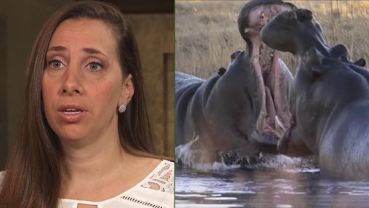 Tourist Recovering From Birthday Hippo Attack - YouTube