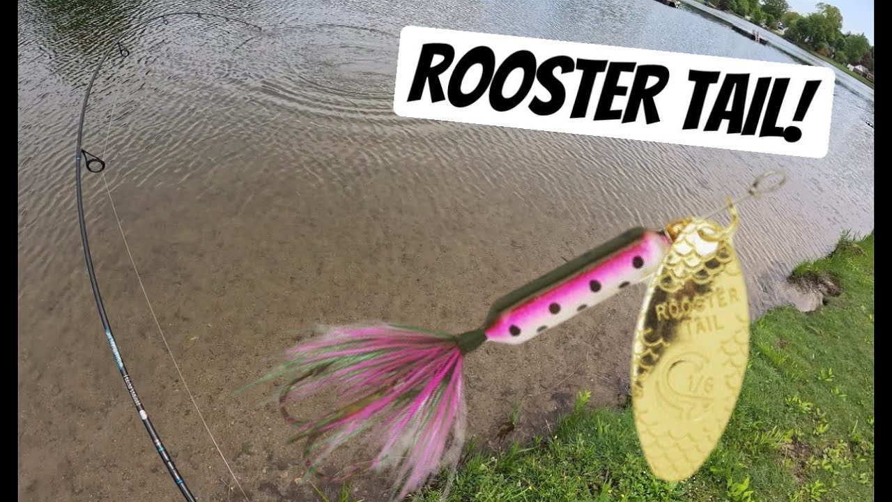 BASS Fishing Using ROOSTER TAILS (Lake Fishing) - YouTube