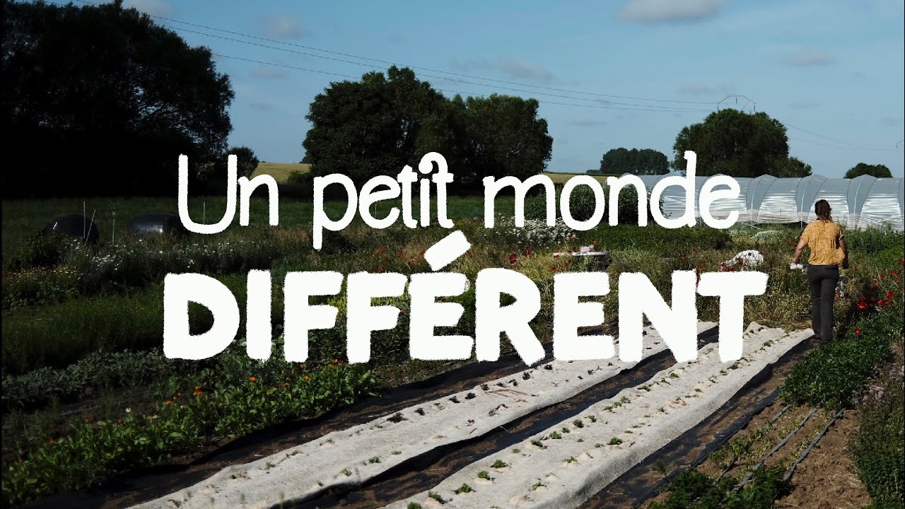 Un Petit Monde Différent - Namur - Mini documentaire - YouTube
