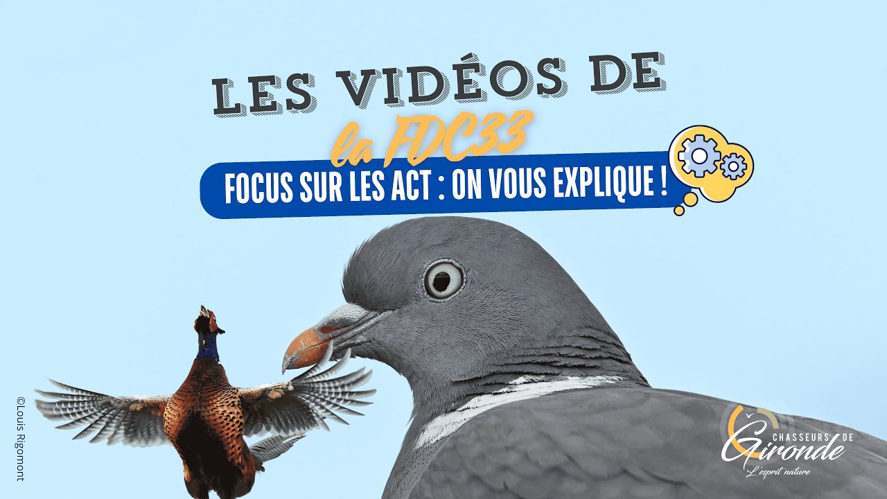 Focus sur les ACT : on vous explique ! - YouTube
