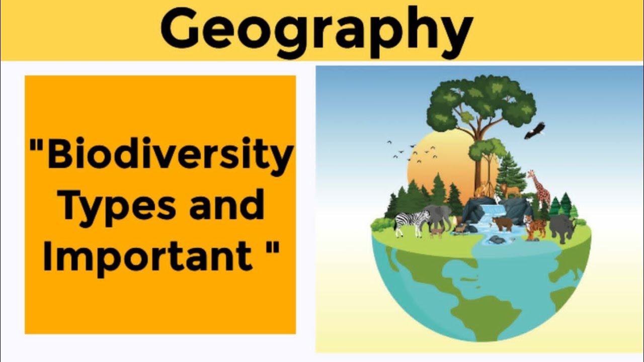 Biodiversity,Types & Importance || Geography|| NCE CLASSES - YouTube
