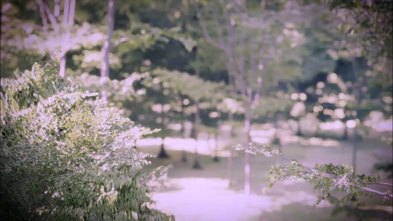 Unreal Engine 5 Cinematic - YouTube