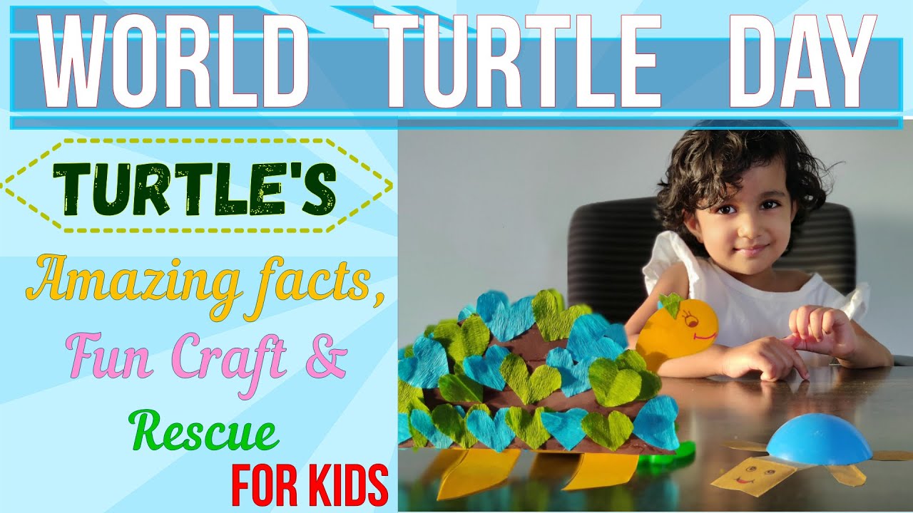 World Turtle Day - Amazing Facts, Fun Craft & Rescue operation of ...