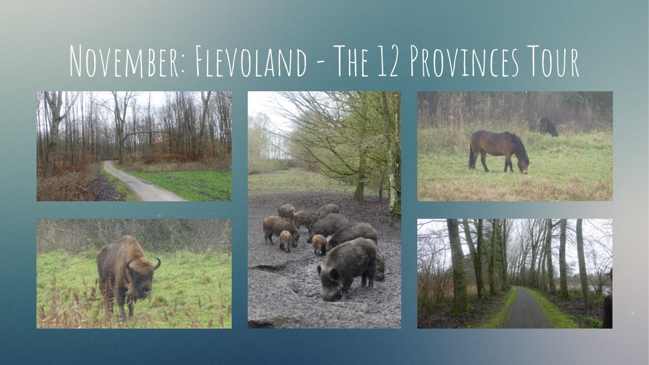November: Flevoland ~ The 12 Provinces Tour - YouTube