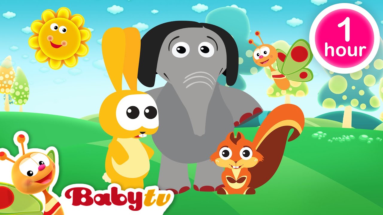 Jouer au football ⚽ + plus de classiques de BabyTV 📺 | épisodes ...
