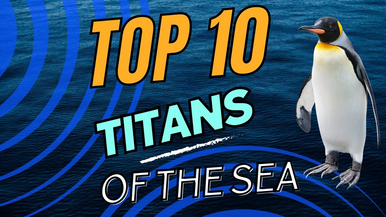 Top 10 Titans of the Deep: The Strongest Sea Animals - YouTube