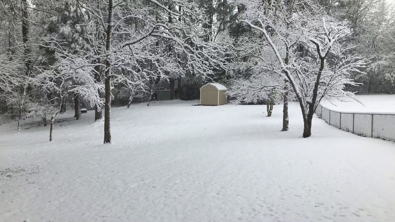 Snowy backyard - YouTube