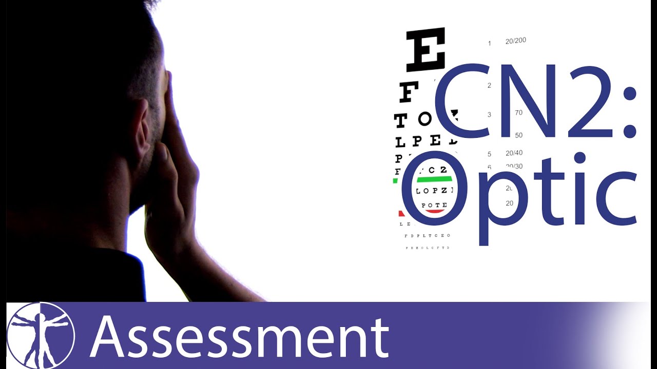 Cranial Nerve 2 | Optic Nerve Assessment for Physiotherapists - YouTube