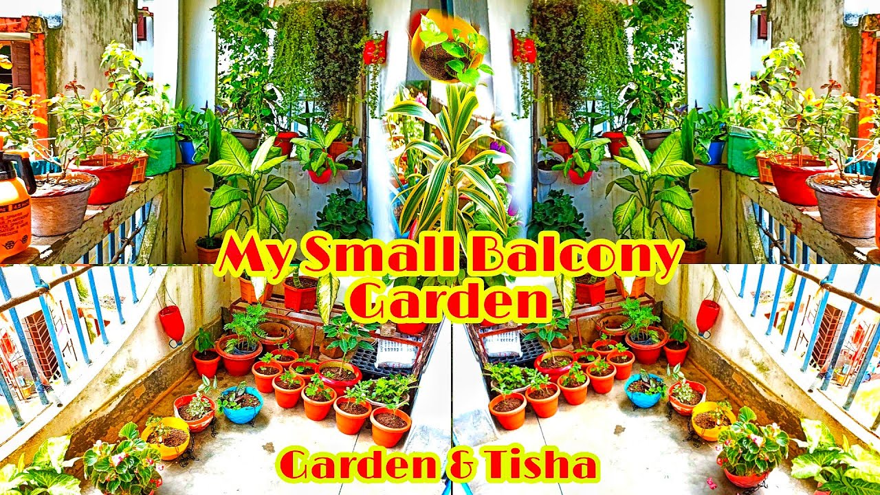 Balcony Garden Ideas/Hanging Plants Ideas ll Balcony Garden ll Hanging ...