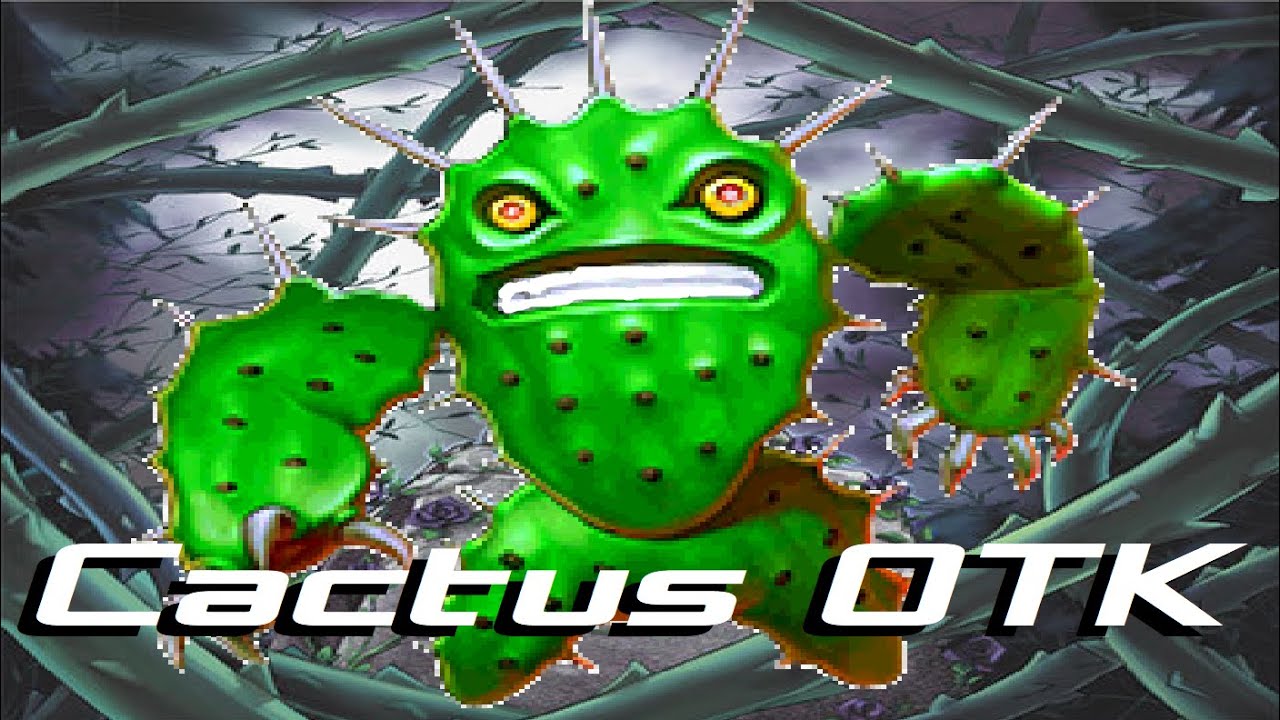 Cactus Fighter OTK // The 100 Days of Yu-Gi-Oh - YouTube