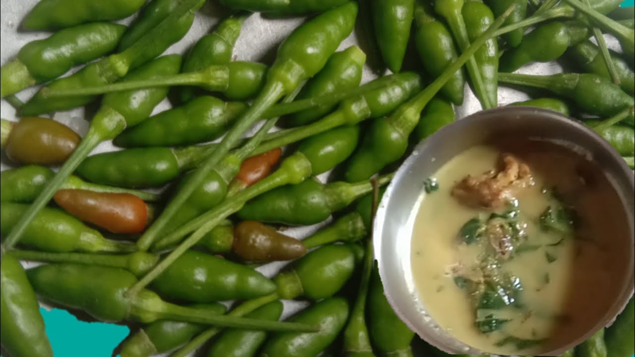 Drinking Home Made Chilli Juice ,Very Hot Juice @bsmj - YouTube