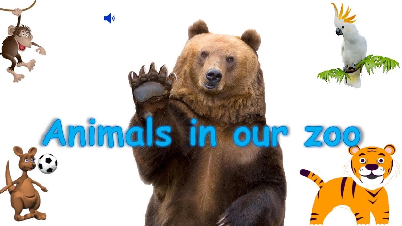A song for kids "Animals in our zoo" (there is/there are) - YouTube