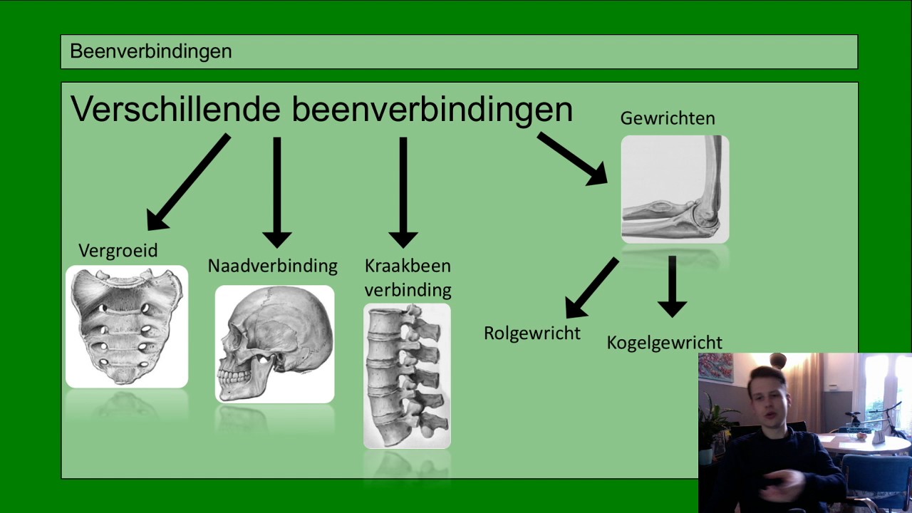 Basisstof 4 Beenverbindingen - YouTube
