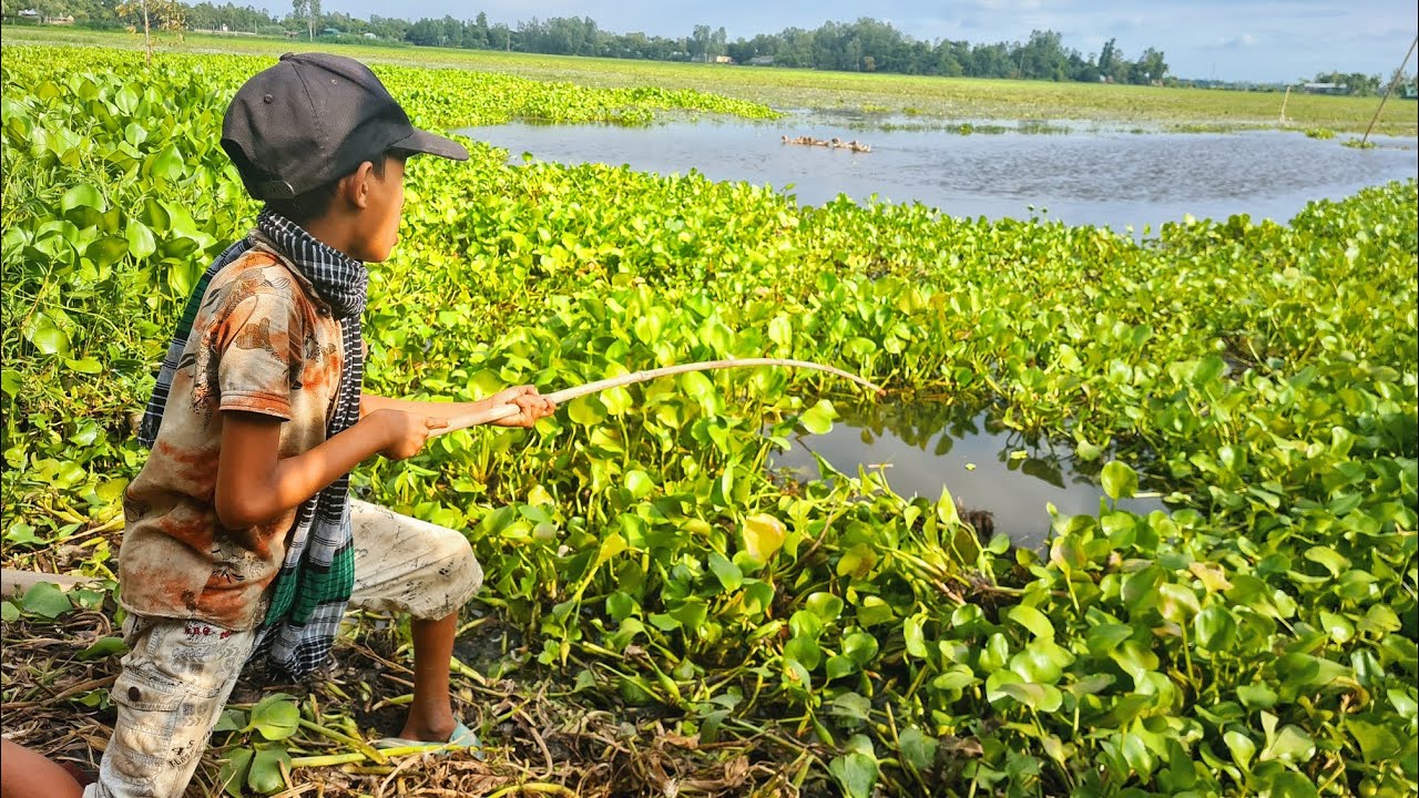 Best Incredible Fishing Video small Fisherman Catching Nice Catfish To ...
