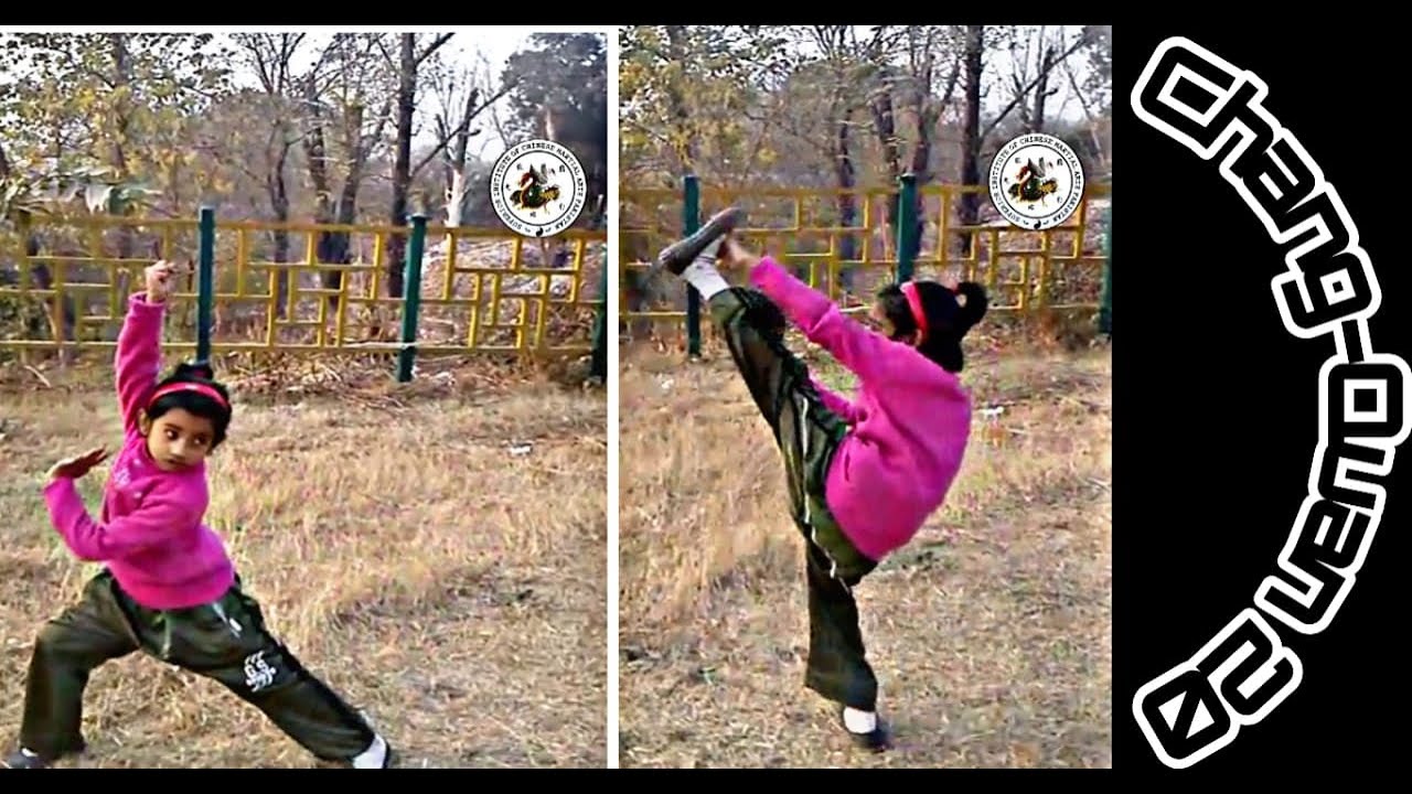 Chang Quan 20 | Long Fist (Northern Boxing) | SICMAP Presents | Best ...