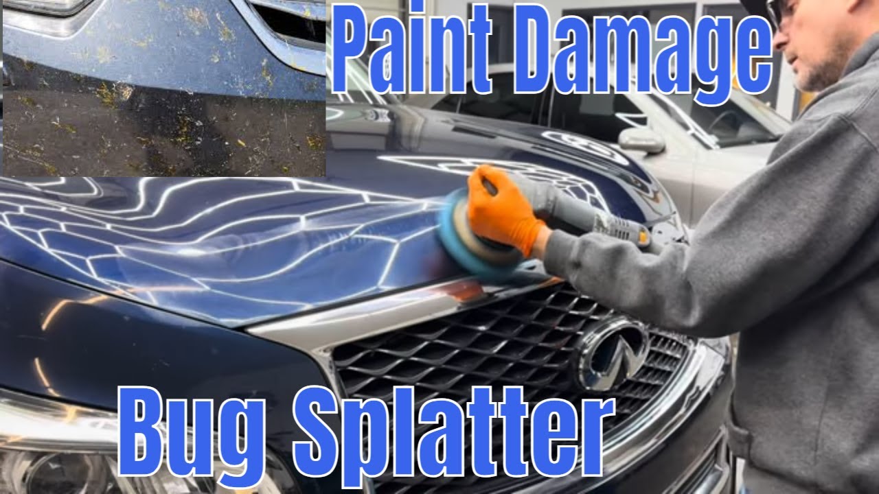 This Is How To Quickly Remove Permanent Paint Damage Caused By Bug ...