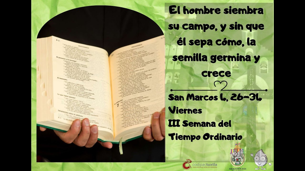 Evangelio del día San Marcos 4, 26-34 Viernes III Semana del Tiempo ...