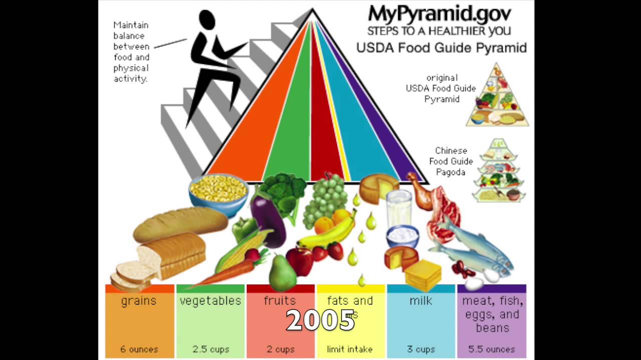 Food Pyramid Evolution - YouTube