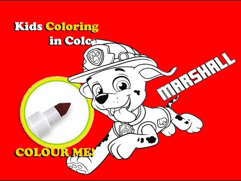 Paw Patrol Marshall, Color Me In! Coloring Pages, Nickelodeon - YouTube