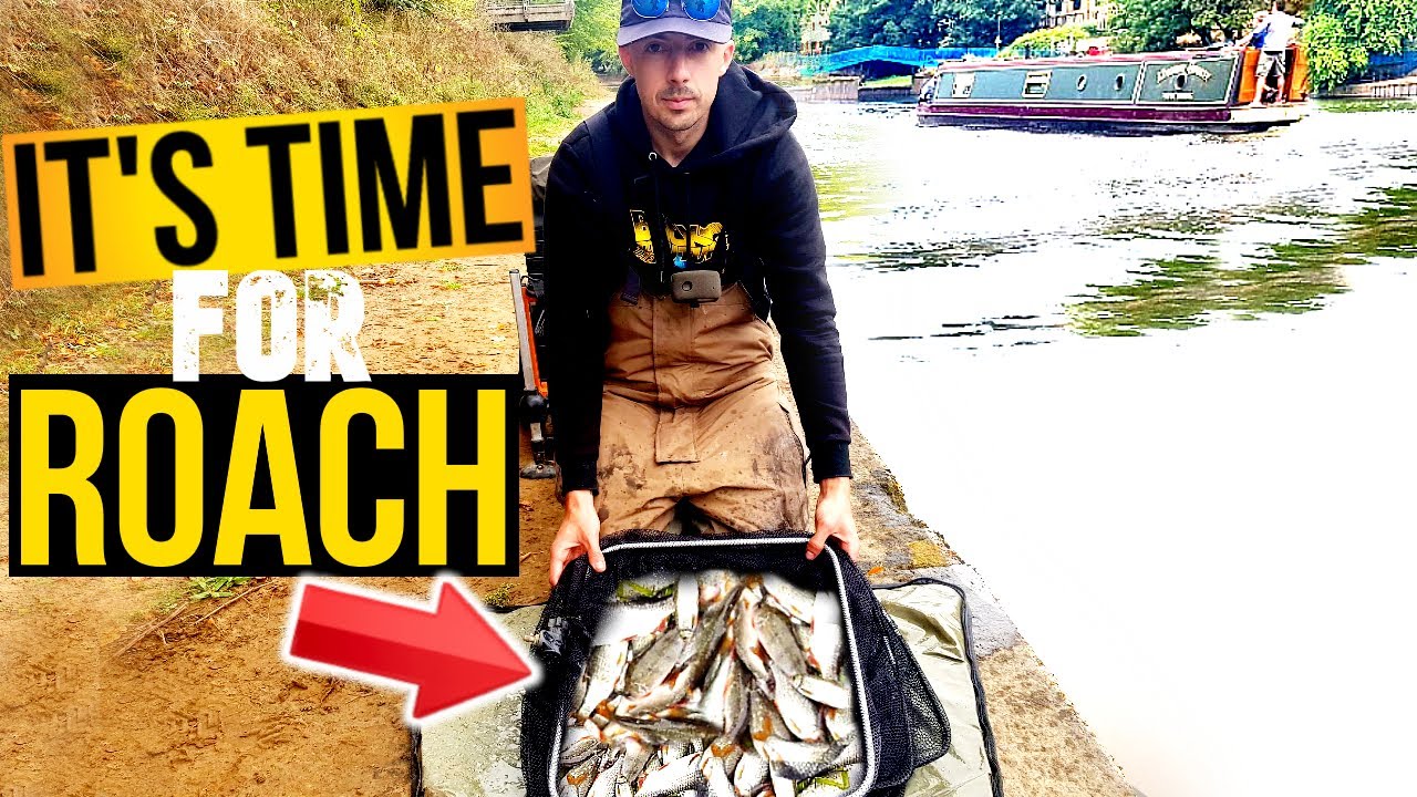 BIG AUTUMN ROACH FISHING BAGS - YouTube