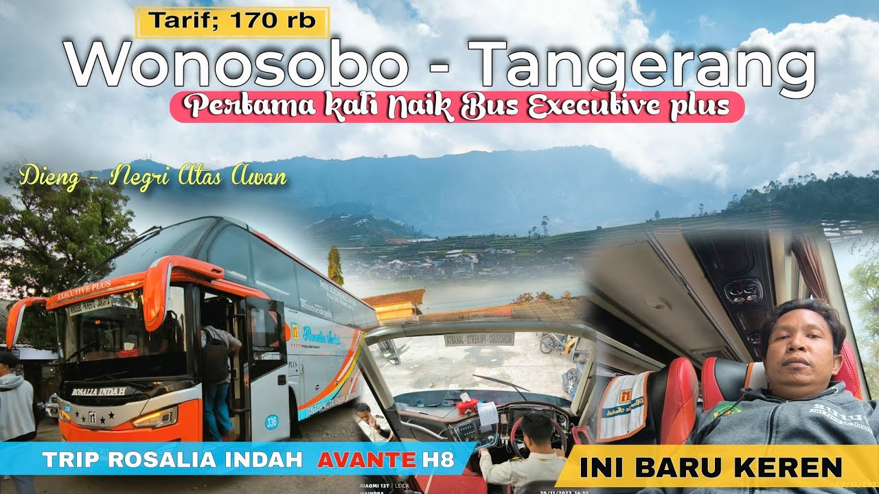 Pertama Kali Naik Bus Executive Plus‼️Trip Bus Rosalia indah Avante H8 ...