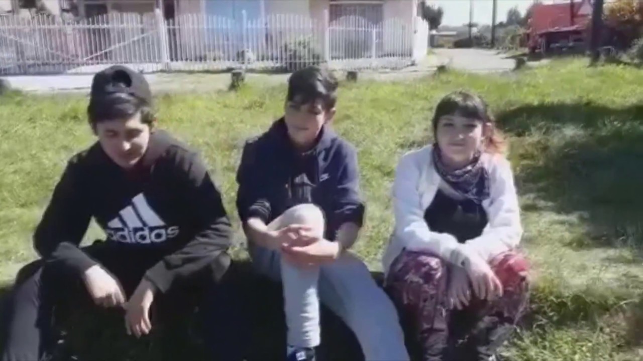 42 Frases flaites - YouTube