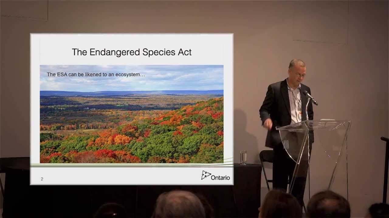 Marc Rondeau - Overview of the Endangered Species Act - OESAC 2013 ...