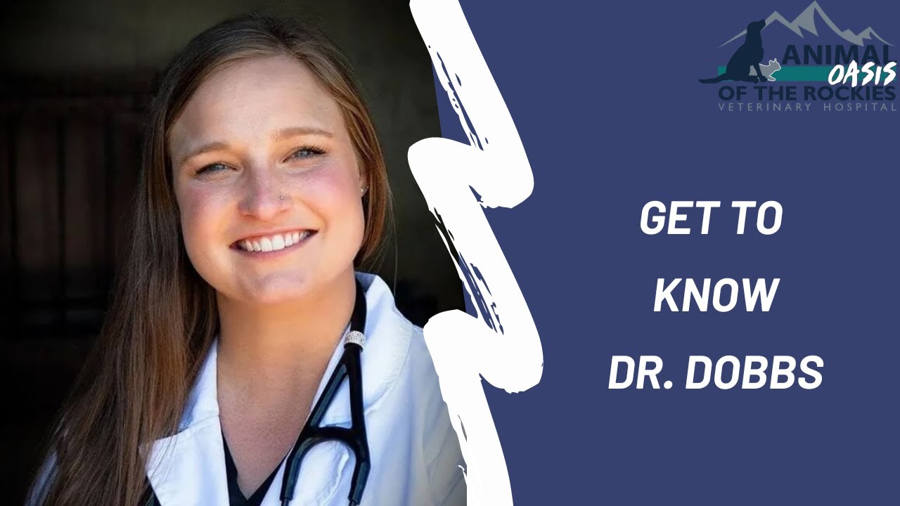 Get To Know Dr. Dobbs - YouTube
