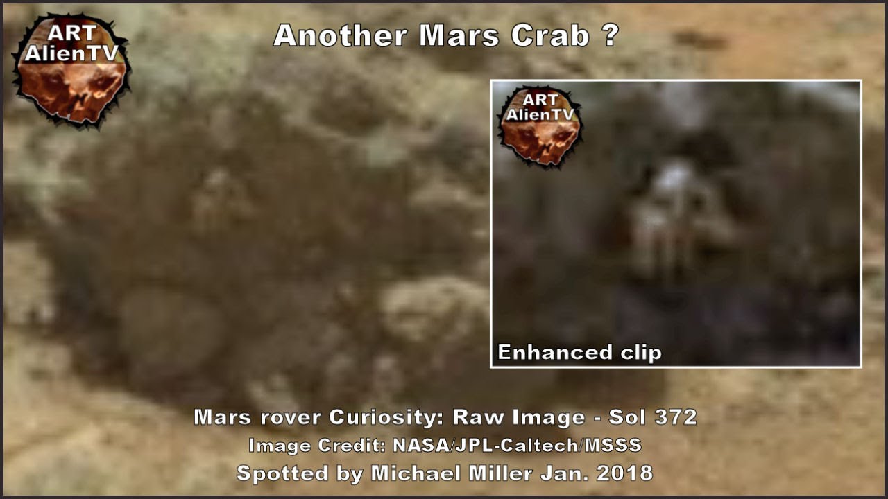 Another Mars Crab Found - Or Electrical Plug ? ArtAlienTV - YouTube