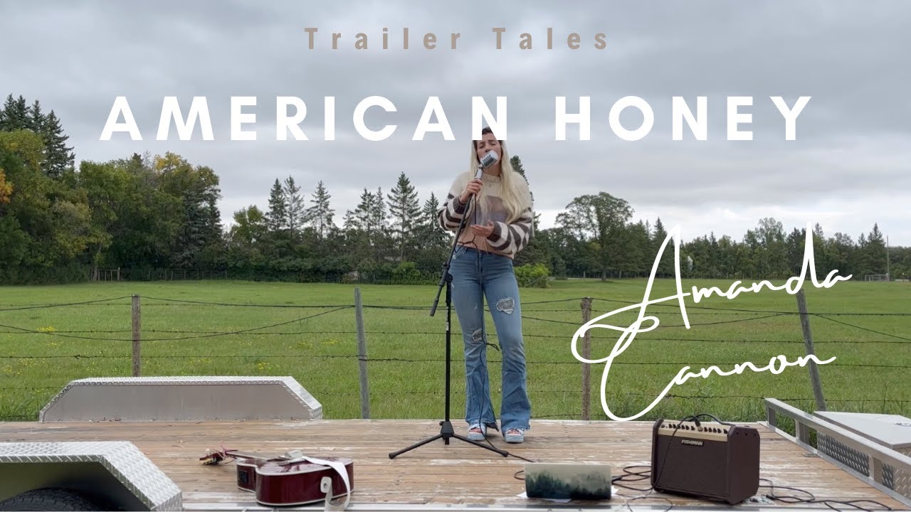 American Honey Cover - Lady Antebellum - Amanda cannon - YouTube