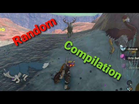 TotK: Random Compilation, Part 1 - YouTube