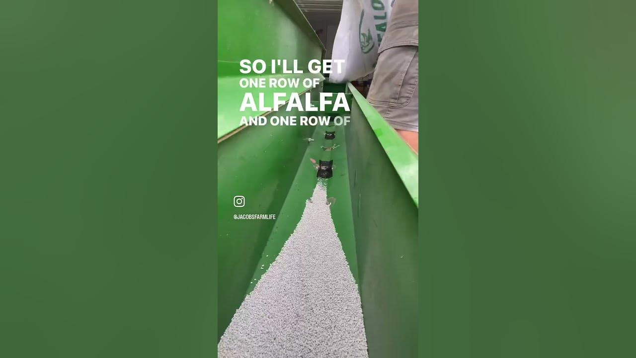 Alfalfa & orchard grass: 20lb/acre planting #farm #farmer #farming #hay - YouTube