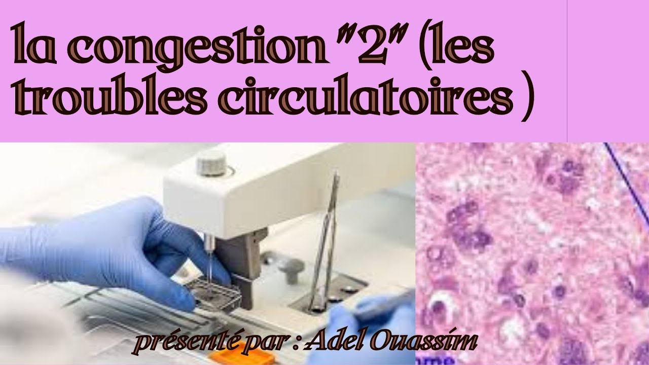 Les troubles circulatoire /La congestion partie 2 ( le foie et le ...