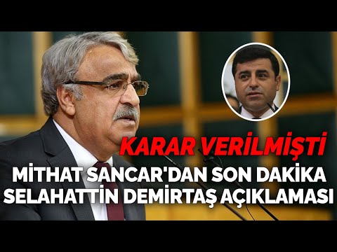 Karar verilmişti: HDP Eş Genel Başkanı Mithat Sancar'dan son dakika Selahattin Demirtaş açıklaması