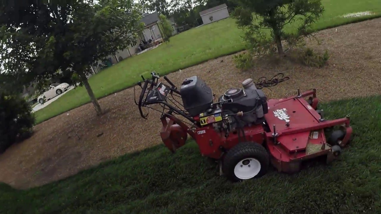 Tall fescue mowing height GCI Turf Services - YouTube