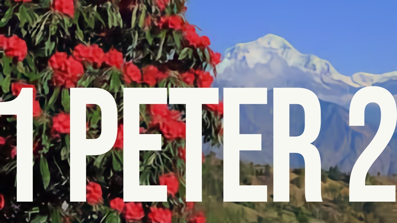 1 Peter 2:1-25 | Zanniat Bible Audio - YouTube