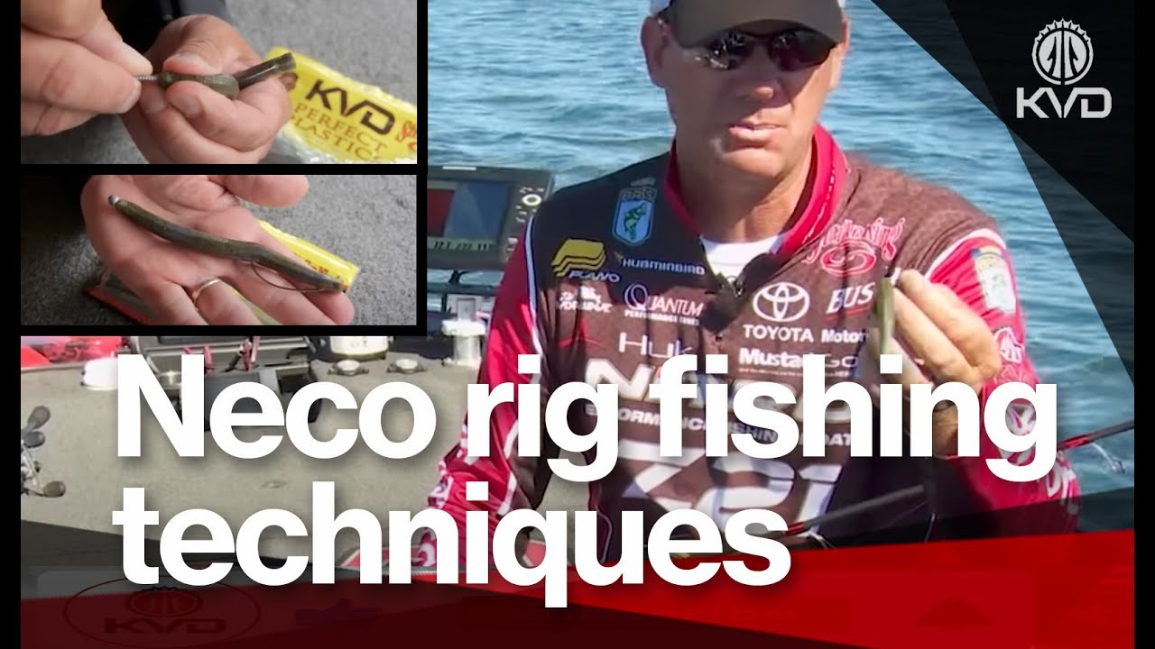 How to set up and fish the Neko Rig - bass fishing options you have ...