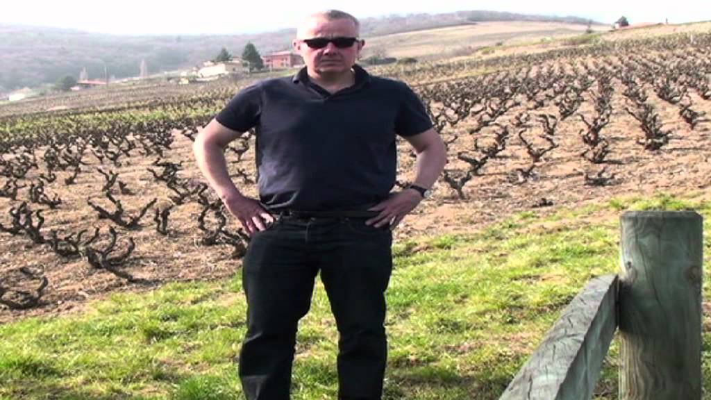 Burgundy Wine: Jason Yapp reviews vintages in the Burgundy region - YouTube