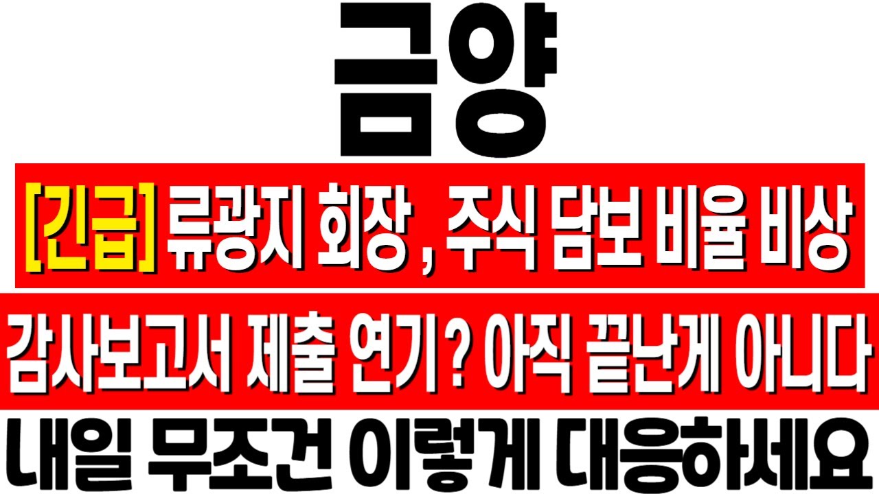 금양 주가 전망 류광지 회장 주식 담보 대출 비상 감사보고서 제출 연기 내일 대응 필수 금양 관리 종목 금양 주식 분석 금양 박순혁 금양 상장폐지 금양 기장