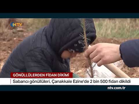 NTV | Gönüllülerden fidan dikimi