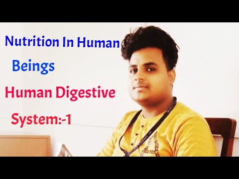 Life processes(Lecture:-7) Nutrition in Human beings Human Digestive ...