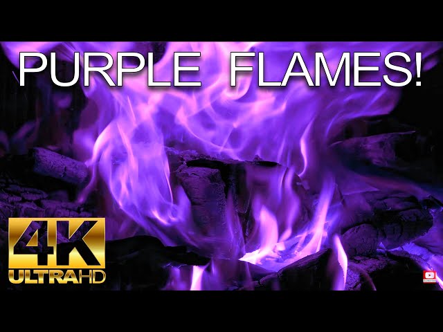 Purple Flames