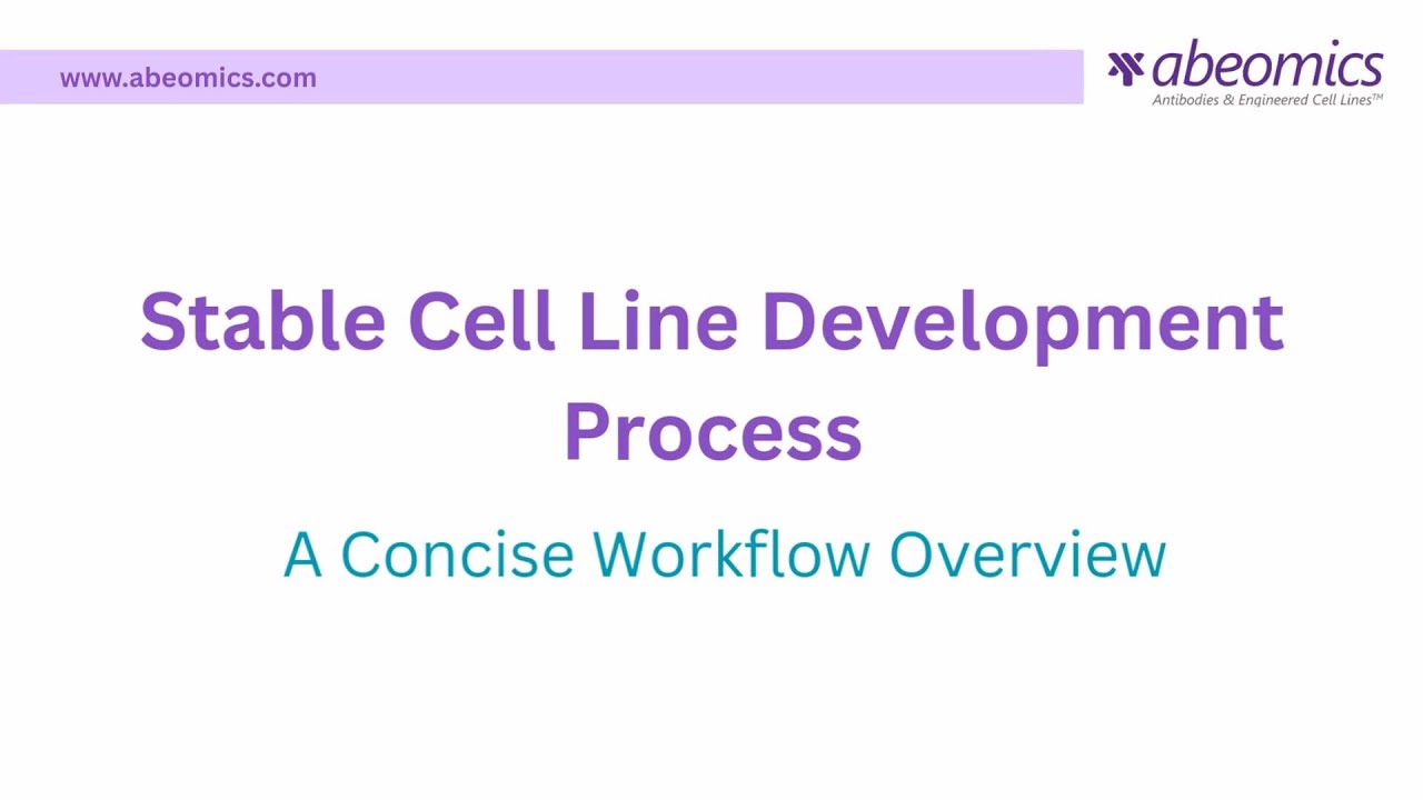 Stable Cell Line Development Workflow - YouTube