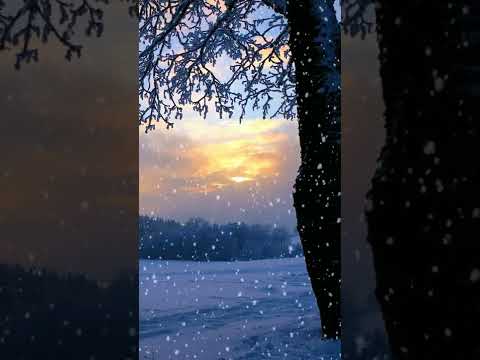 Umudun İnşası İçin