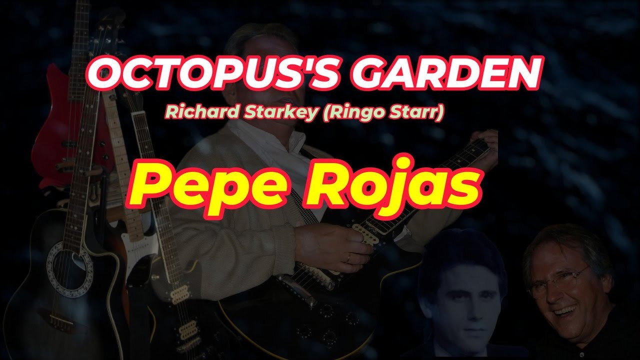 OCTOPUS'S GARDEN - Pepe Rojas - YouTube