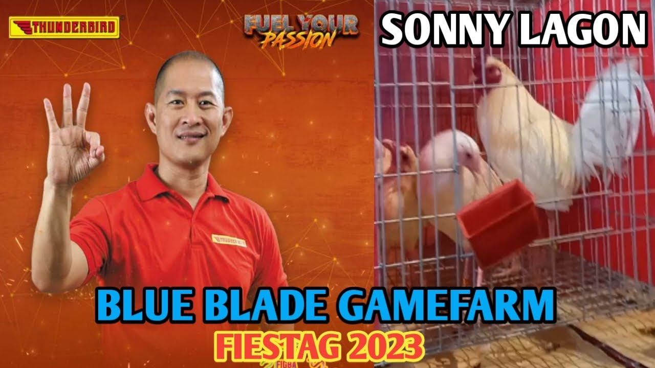 BLUE BLADE GAMEFARM - DAY 1 FIESTAG - SONNY LAGON - BRUCE BARNETT ...