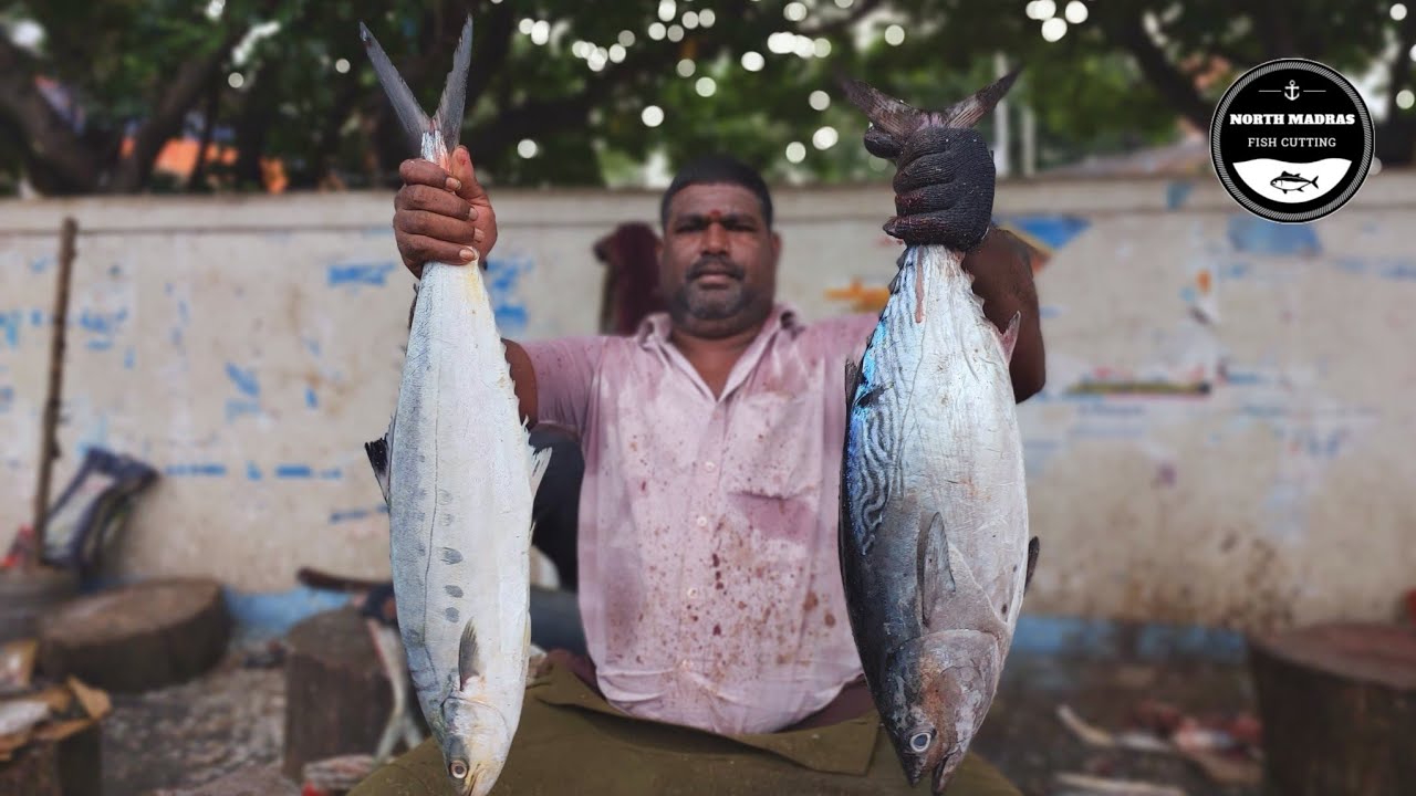 🤯Thol Parrai & Surai Fish|Kasimedu Expert Fish Cutter |Minnal 🔪Raja ...