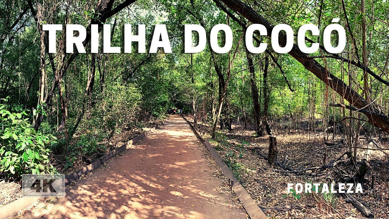 TRILHA DO PARQUE DO COCÓ | Fortaleza, Ceará 🇧🇷 - YouTube